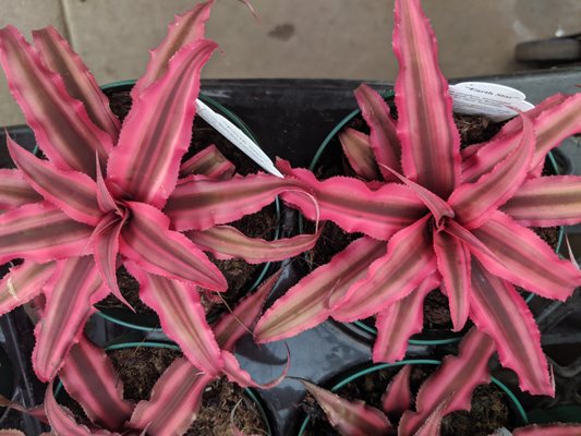 WANNEMAKER’S HOME & GARDEN CENTER - 178 Photos & 84 Reviews - 1940 ...