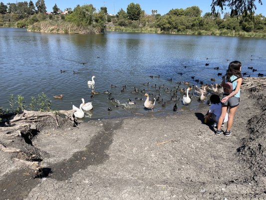 GUAJOME REGIONAL PARK - Updated July 2024 - 369 Photos & 135 Reviews ...