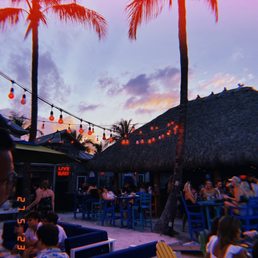 SANDBAR - Updated June 2025 - 545 Photos & 542 Reviews - 40 S Ocean ...