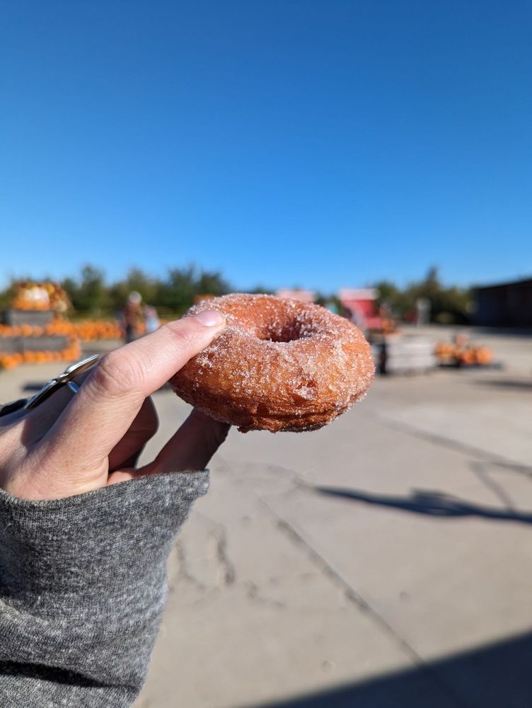 STUCKEY FARM ORCHARD AND CIDER MILL - Updated October 2025 - 195 Photos ...