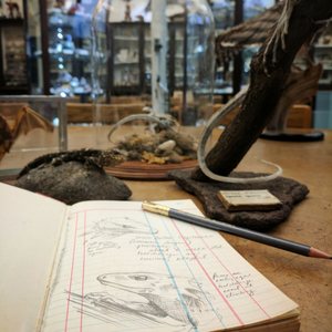 RISD MUSEUM - 637 Photos & 172 Reviews - 20 N Main St, Providence ...