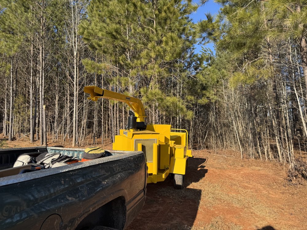 CMP TREE CARE SOLUTIONS - Updated July 2025 - Covington, Georgia - Tree ...