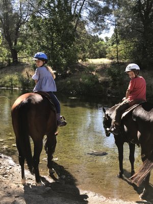 GOVAN RANCH - Updated July 2025 - 10 Photos - 3505 Bell Rd, Chico ...