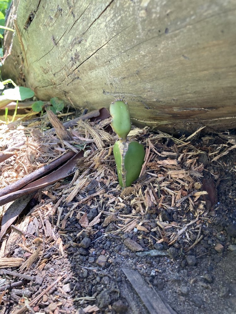 PARKSIDE SQUARE - Updated February 2025 - 61 Photos & 27 Reviews - 28th ...