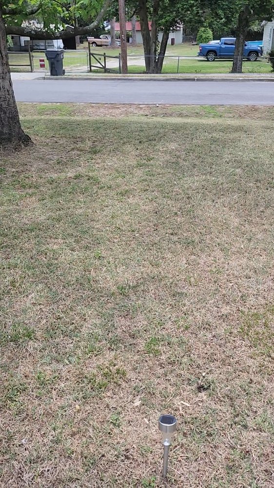 DEAN’S TRU GREEN CUTS AND MORE - Updated May 2025 - Request a Quote - 101 Cook St, Harlem ...