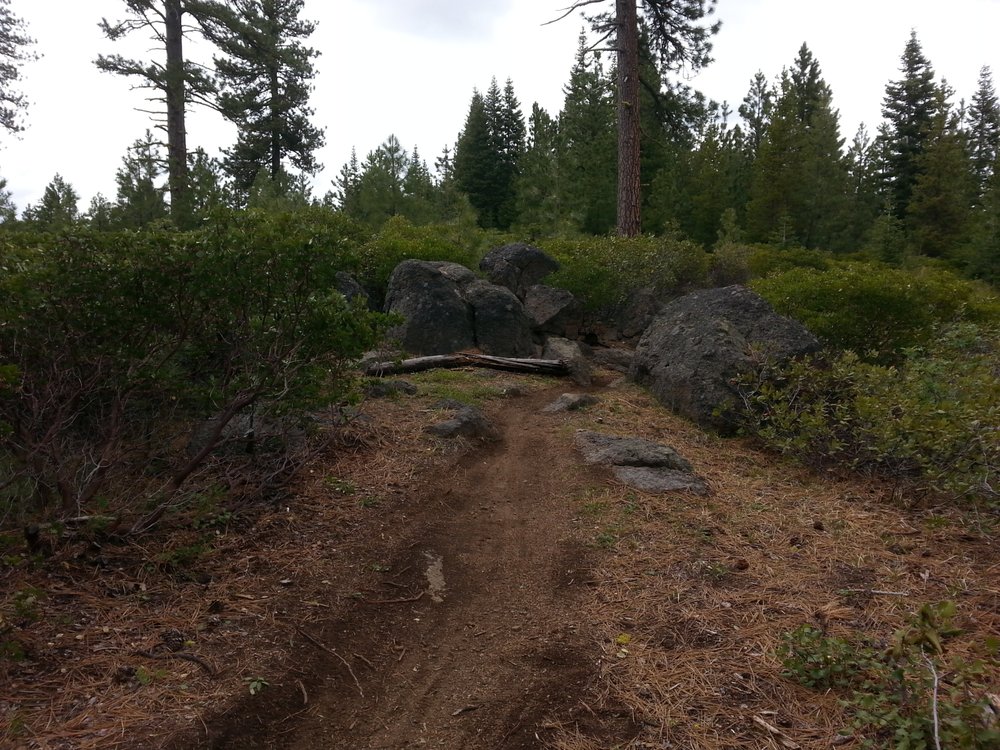 TYLER’S TRAVERSE MOUNTAIN BIKE TRAIL - Updated December 2024 - Conklin Rd, Bend, Oregon ...