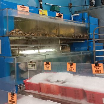 MANGO TREE SUPERMARKET - Updated August 2024 - 41 Photos & 30 Reviews ...