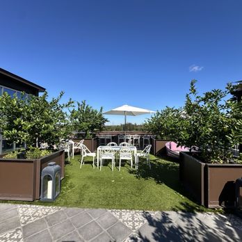 MYRTLE & ROSE ROOFTOP BAR - Updated March 2025 - 388 Photos & 184 ...