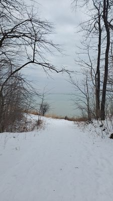 BENDER PARK - Updated January 2025 - 62 Photos & 13 Reviews - 4503 E ...