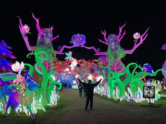 STOCKTON LANTERN FESTIVAL MAGIC FOREST - Updated January 2025 - 42 ...