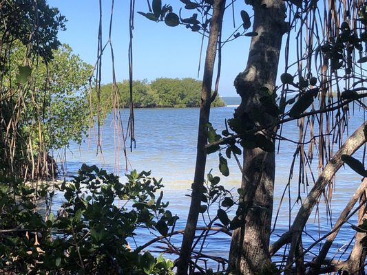 EMERSON POINT PARK - 188 Photos & 32 Reviews - 5801 17th St W, Palmetto ...