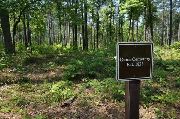 PIEDMONT NATIONAL WILDLIFE REFUGE - Updated November 2024 - 41 Photos ...