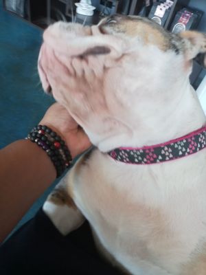 DREAM FLOAT SPA - Updated April 2025 - 36 Photos & 34 Reviews - 1564 ...