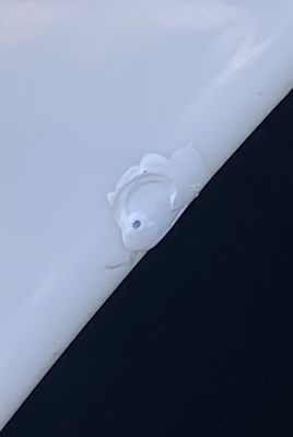 RUSTY ECK FORD - Updated December 2025 - 32 Photos & 109 Reviews - 7310 ...