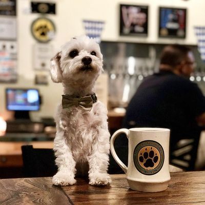 PINELLAS ALE WORKS - Updated December 2025 - 370 Photos & 130 Reviews ...