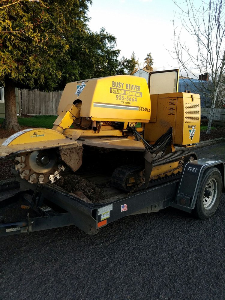 BUSY BEAVER STUMP REMOVAL & TRACTOR WORK - Updated September 2024 ...