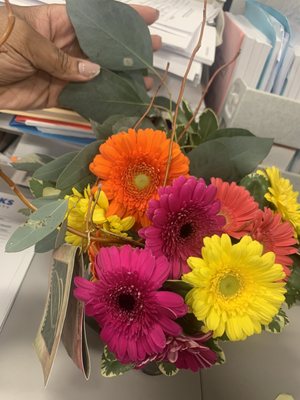 OBERER’S FLOWERS - Updated October 2025 - 60 Photos & 100 Reviews ...