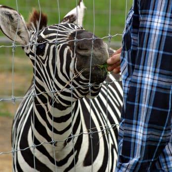 ANDERSON & GIRLS ORCHARDS - Updated July 2024 - 58 Photos & 16 Reviews ...