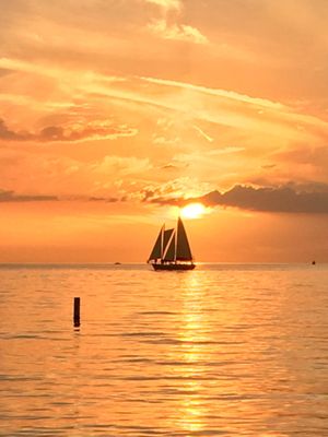 Sand Key Park - 162 Photos & 85 Reviews - Beaches - 1060 Gulf Blvd ...