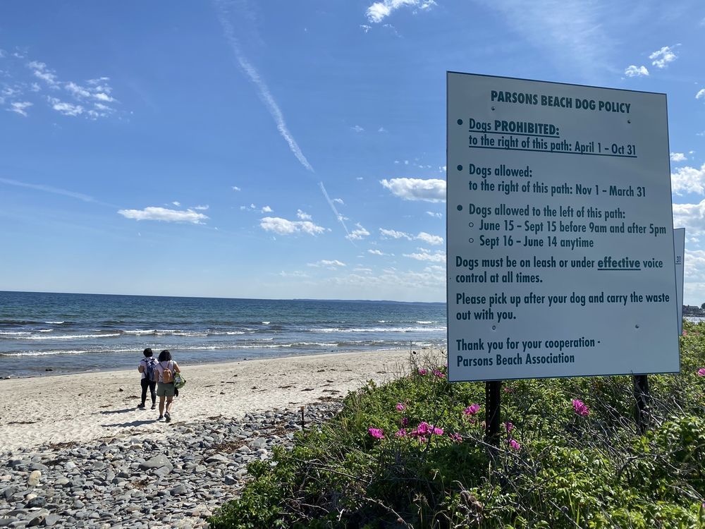 PARSONS BEACH - Updated August 2025 - 31 Photos - Parsons Beach Rd ...