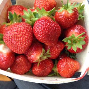 FOUR TOWN FARM - Updated June 2025 - 126 Photos & 83 Reviews - 90 ...