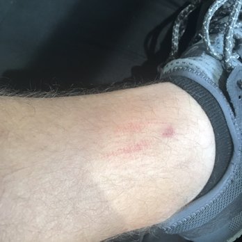 ARLINGTON SKATIUM - Updated July 2025 - 65 Photos & 66 Reviews - 5515 S ...