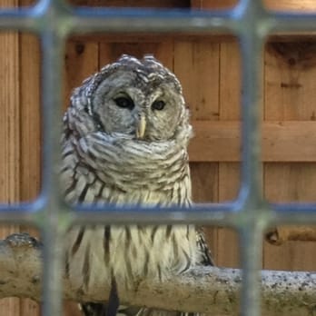 AUDUBON-SHARON AUDUBON CENTER - Updated July 2025 - 14 Photos - 325 ...