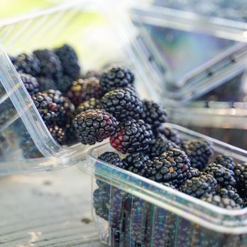 THE BERRY RANCH - Updated December 2025 - 33 Photos & 14 Reviews - 7998 ...