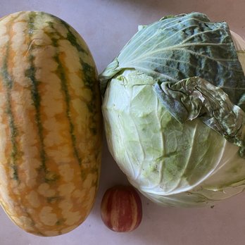 MUSSO FARMS - Updated July 2025 - 33 Photos & 17 Reviews - 35779 ...