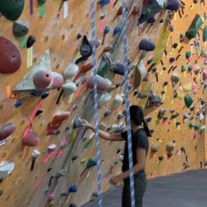 ROCKNASIUM - 94 Photos & 90 Reviews - 720 Olive Dr, Davis, CA - Yelp