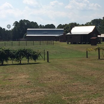 DAUSET TRAILS NATURE CENTER - Updated October 2025 - 46 Photos & 19 ...