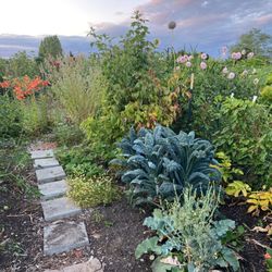 EASTLAKE P-PATCH COMMUNITY GARDENS - 34 Photos - 2900 Fairview Ave E ...