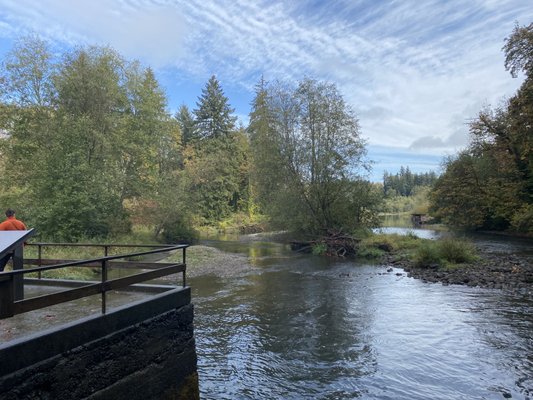 TUMWATER HISTORICAL PARK - 54 Photos & 18 Reviews - 777 Simmons Rd SW ...