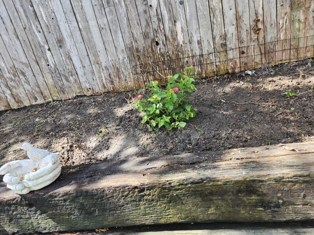 LEGIT TREE & LAWN SERVICE - Updated June 2024 - Austin, Texas - Tree ...