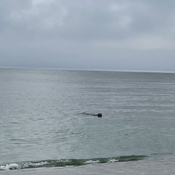 RACE POINT BEACH - Updated January 2026 - 211 Photos & 83 Reviews ...