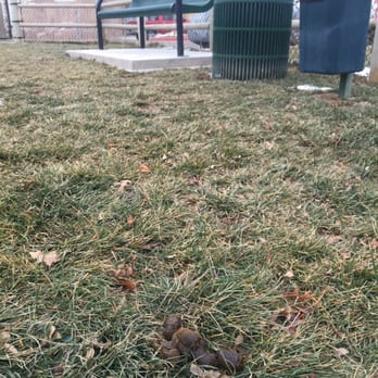 PARK AT COULTER - Updated June 2026 - 122 Photos - 5040 S Coulter St ...