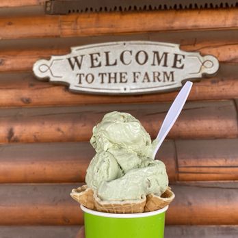 PISTACHIOLAND - Updated March 2025 - 532 Photos & 228 Reviews - 7320 ...