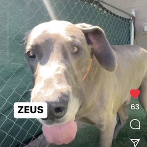 THE RED FERN PET LODGE - 31 Photos & 22 Reviews - 1509 NE 22nd Ave ...