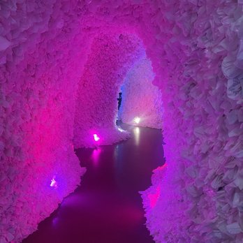 HOPSCOTCH - PORTLAND - Updated May 2024 - 513 Photos & 105 Reviews ...