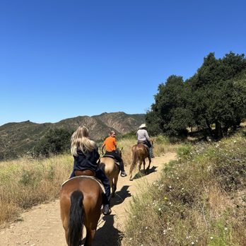 CIRCLE BAR B STABLES - Updated February 2025 - 671 Photos & 467 Reviews ...