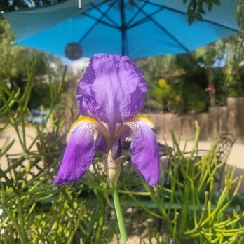 OLIVE DELL RANCH - Updated June 2025 - 15 Photos & 38 Reviews - 26520 ...