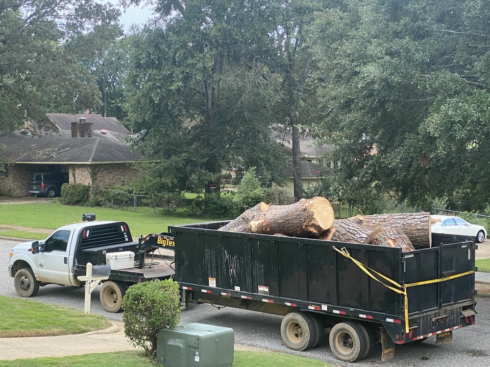 ARBORMAX TREE SERVICE - Updated July 2025 - 17 Photos - Tallassee ...