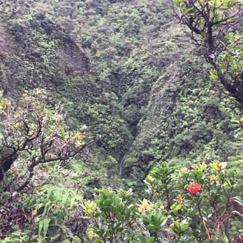 POAMOHO RIDGE TRAIL - Updated December 2025 - 98 Photos & 12 Reviews ...