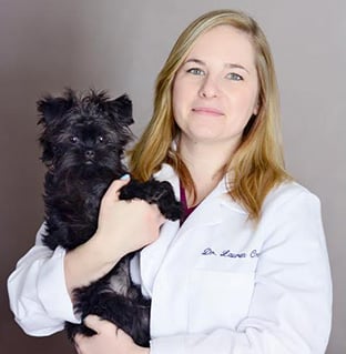 RIDGEVILLE ANIMAL HOSPITAL - Updated December 2025 - 10 Photos & 19 ...