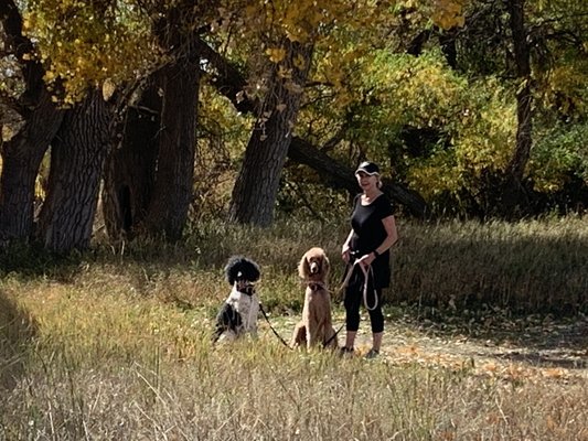 MCCABE MEADOWS PARK - Updated October 2024 - 46 Photos - 19700 Indian ...