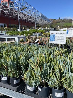 CAL POLY POMONA FARM STORE - Updated May 2024 - 765 Photos & 199 ...