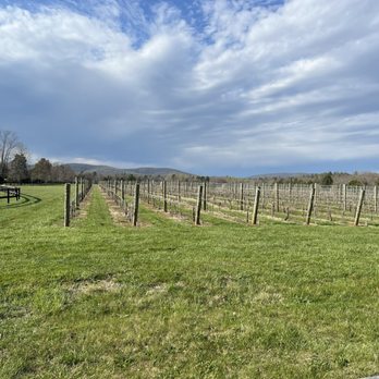 MERRIE MILL FARM & VINEYARD - Updated January 2025 - 188 Photos & 70 ...