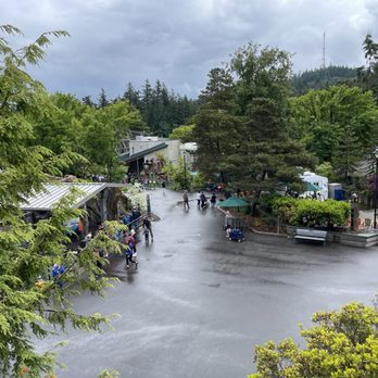 OREGON ZOO - Updated September 2024 - 3202 Photos & 909 Reviews - 4001 ...