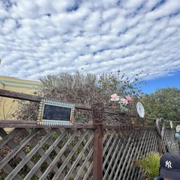 LOVEY’S TEA SHOPPE - Updated July 2025 - 712 Photos & 330 Reviews ...