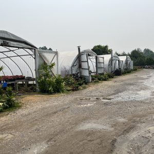 SPRINGDALE FARM MARKET - Updated December 2025 - 43 Photos & 49 Reviews ...